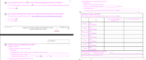 How the Domestic Violence Restraining Order (DVRO) Court Forms are ...