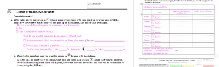 How the Domestic Violence Restraining Order (DVRO) Court Forms are ...