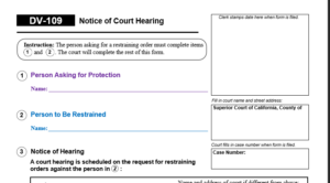 How the Domestic Violence Restraining Order (DVRO) Court Forms are ...