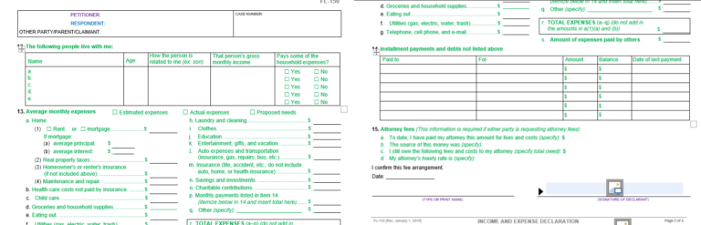 How the Domestic Violence Restraining Order (DVRO) Court Forms are ...